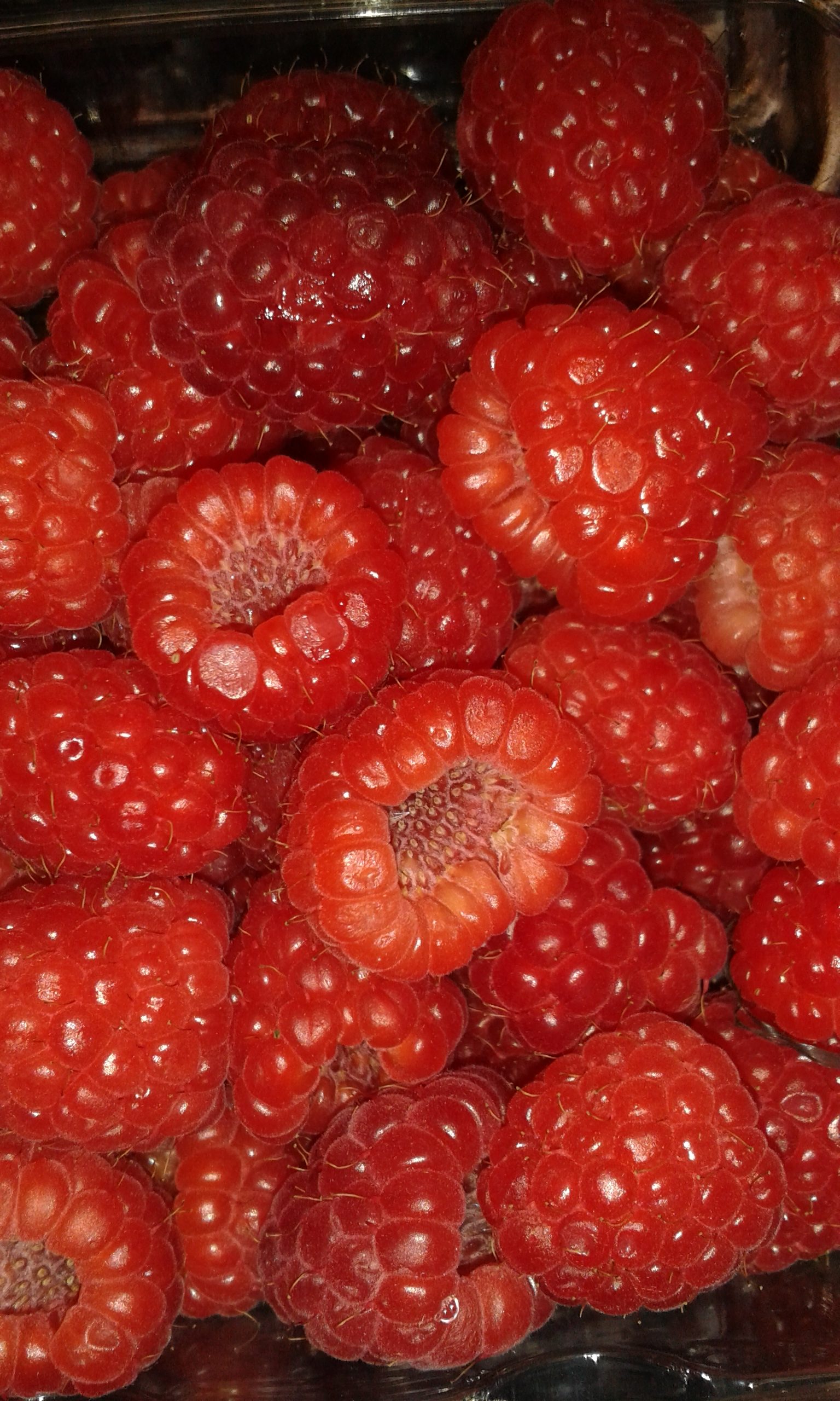 John and Gerry's Quality Fruit Market - Just another WordPress site