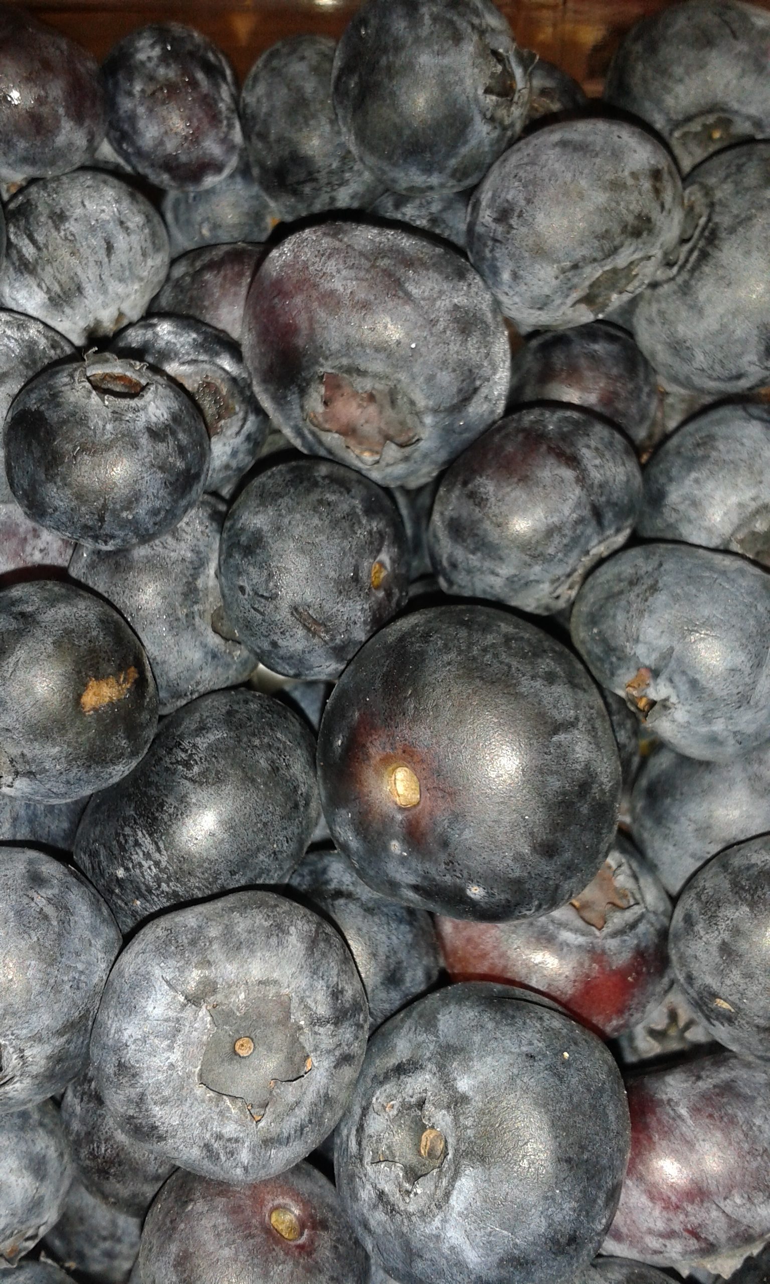 John and Gerry's Quality Fruit Market - Just another WordPress site