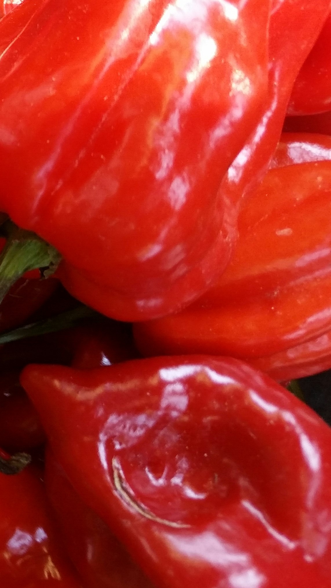 John and Gerry's Quality Fruit Market - Just another WordPress site